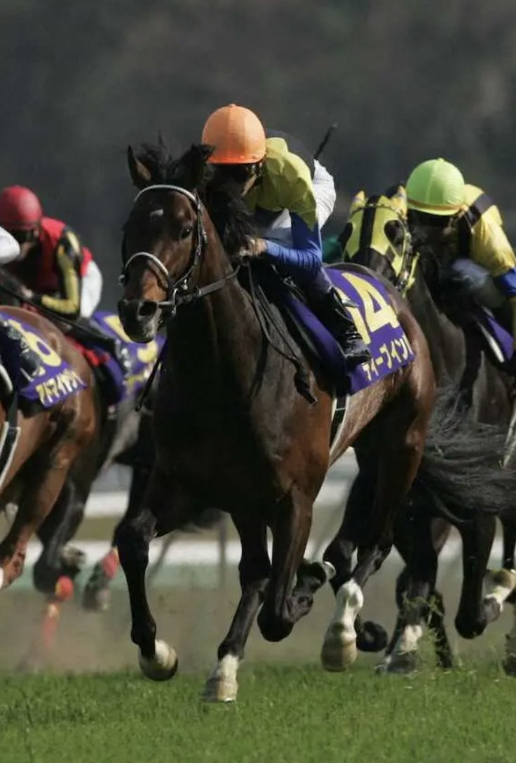 アランカール評価まとめ 新馬戦と野路菊S快勝の良血牝馬を徹底解説 | OYAJI SPORTS