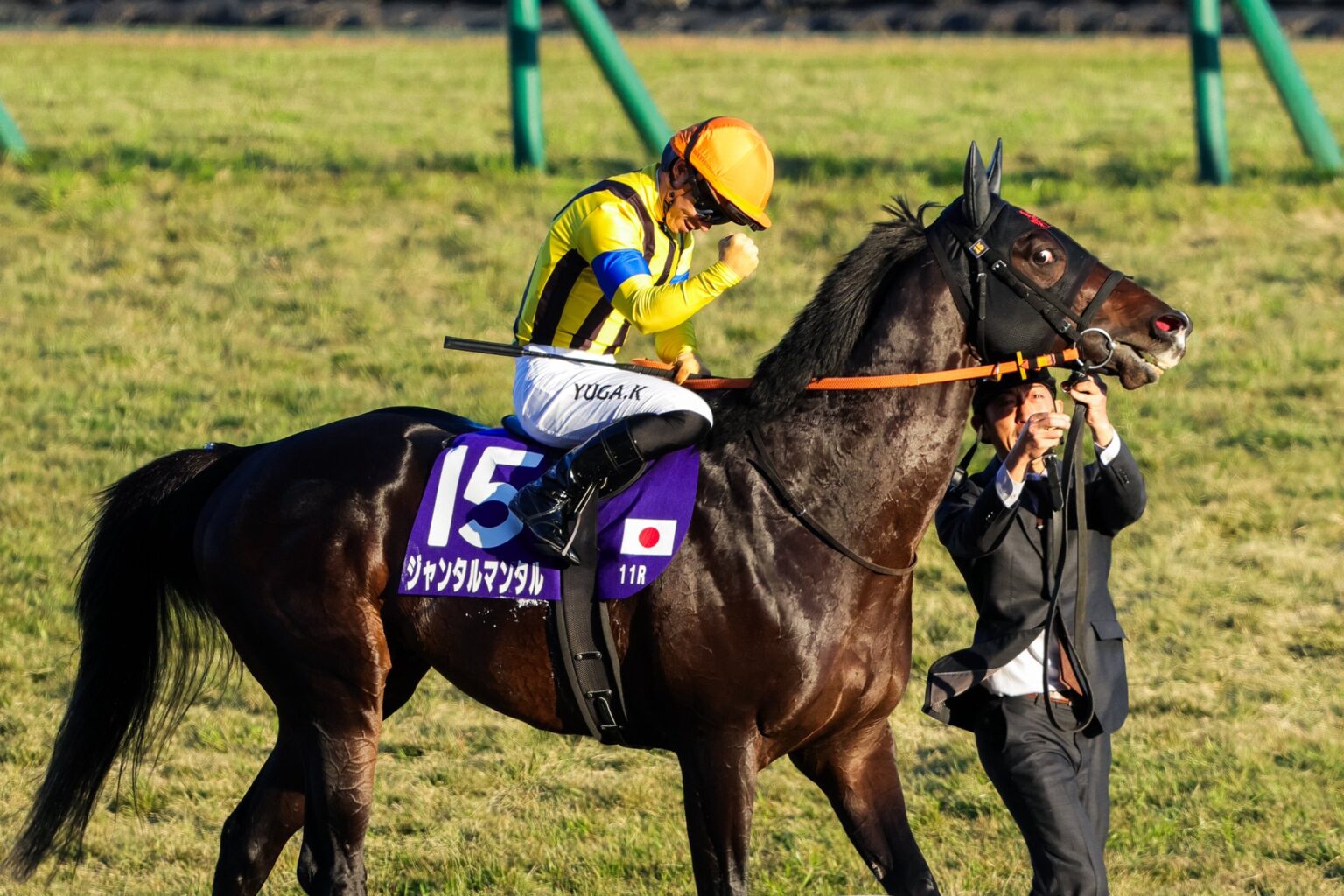 ジャンタルマンタルの次走はどこ？マイルCS圧勝後のローテーションを徹底予想 | OYAJI SPORTS